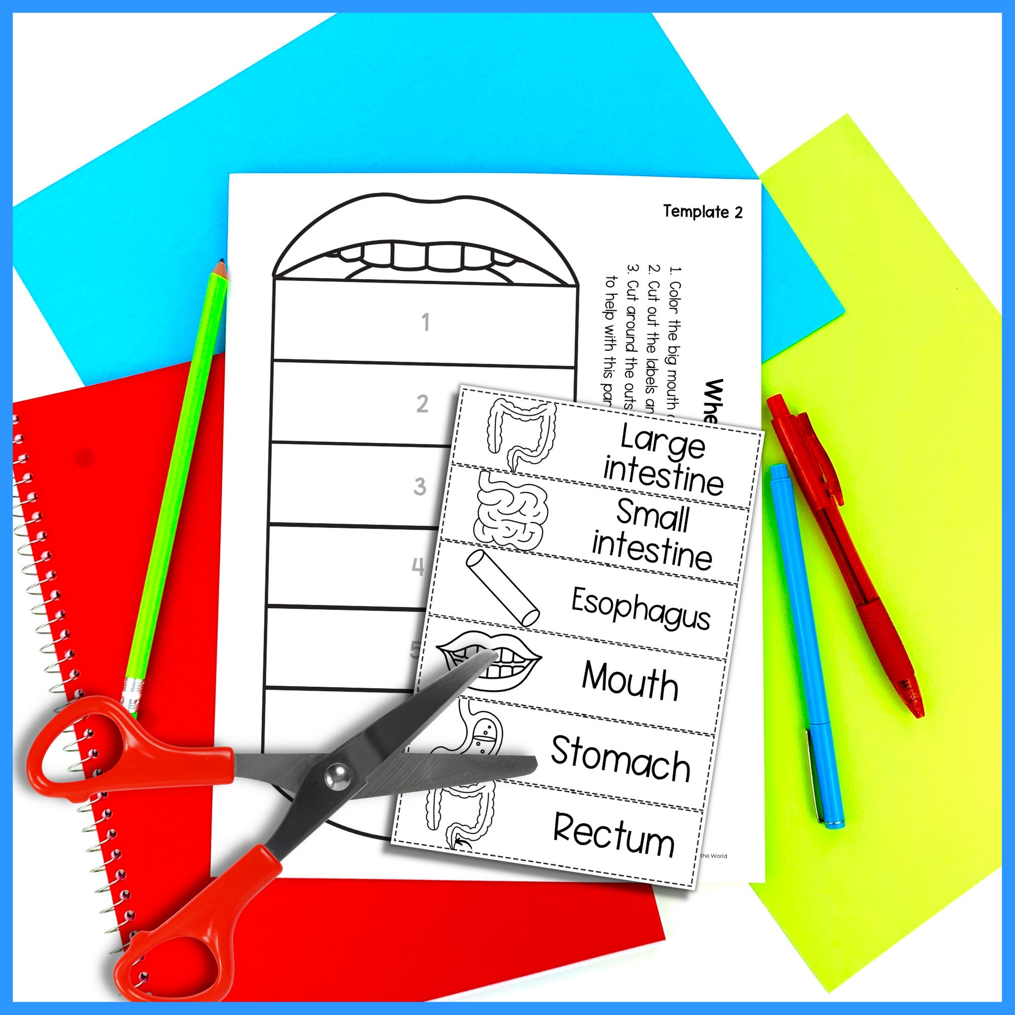 Human Body Digestive System Foldable Sequencing Activities for Kids ...