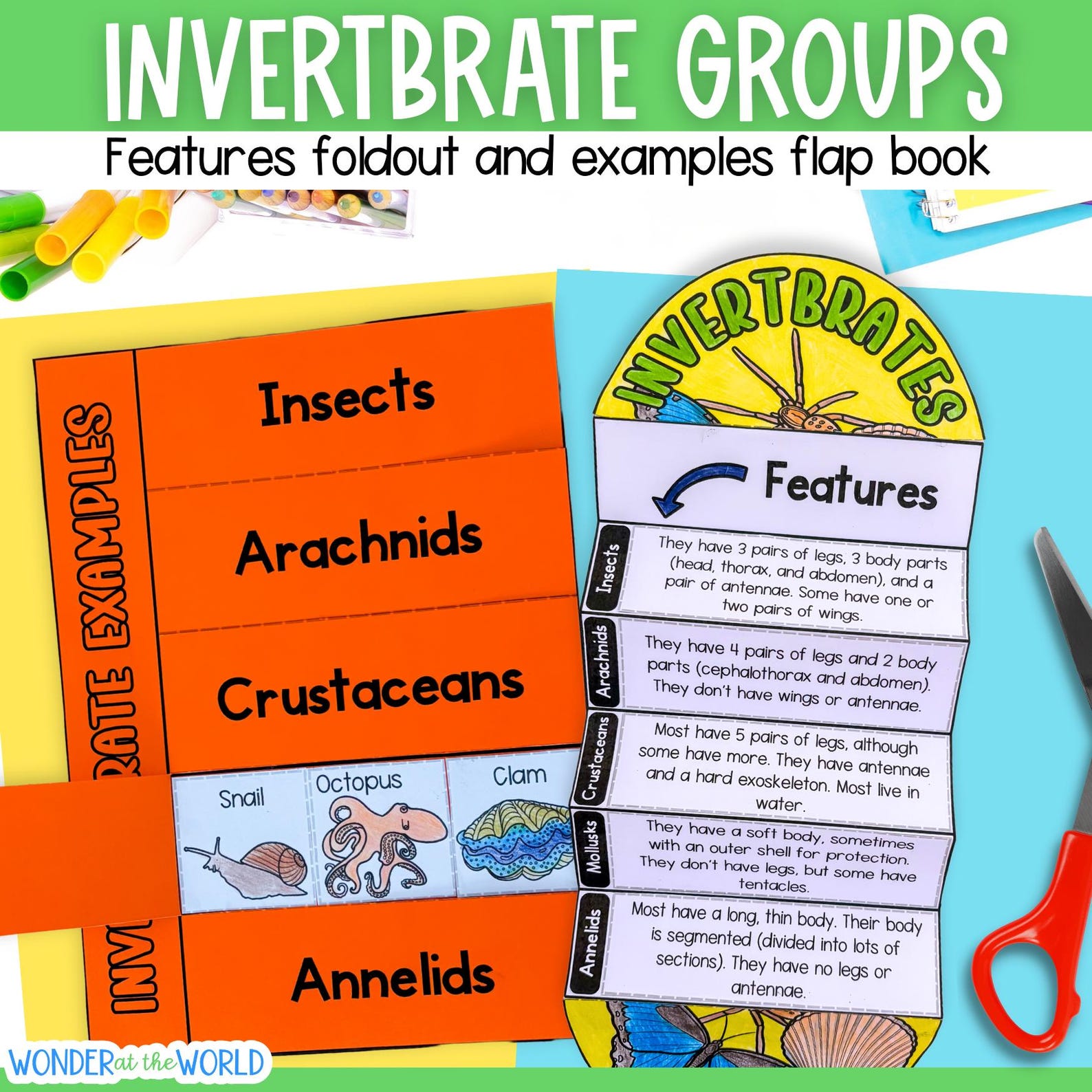 Invertebrates Classification Groups Cut and Paste Activities Match and ...