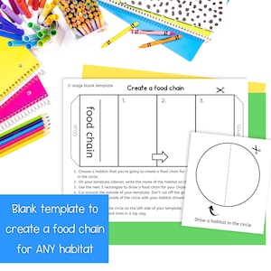 Make a Food Chain Foldable Activities PDF | A4 and 8.5x11 Inch ...