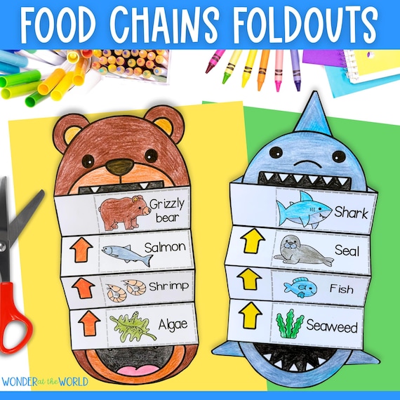 Food Chain Lion
