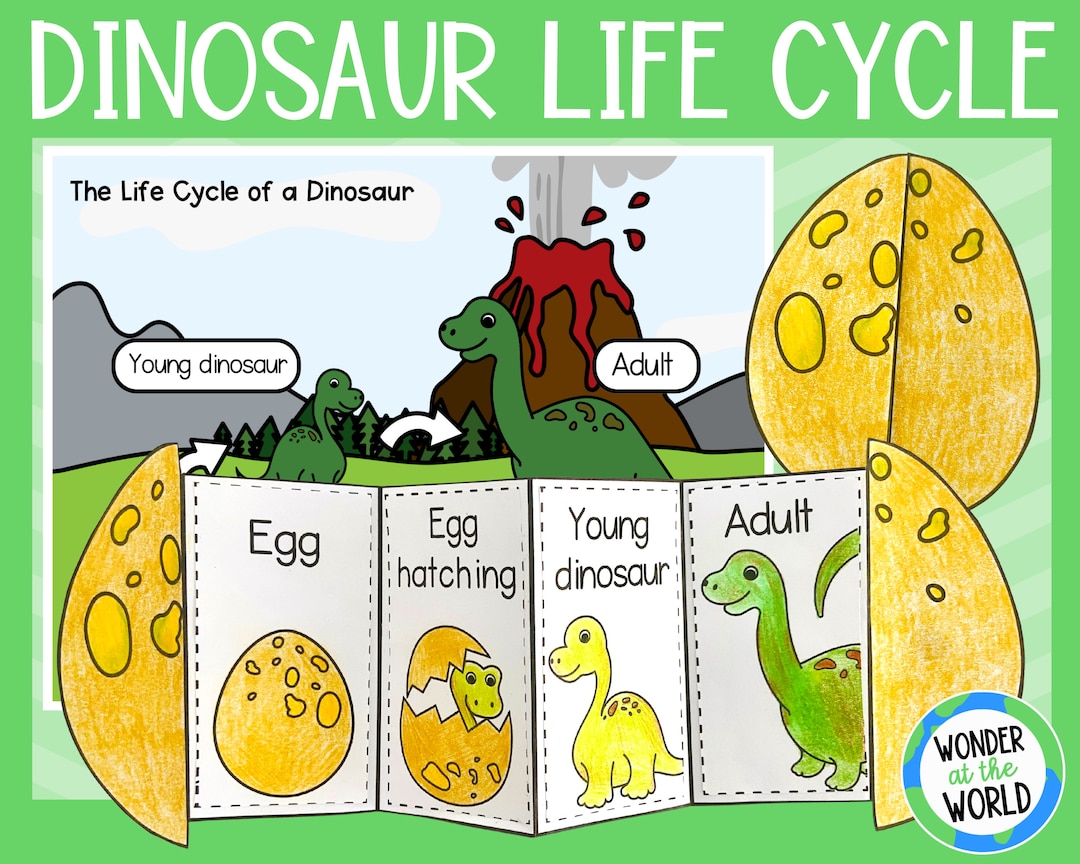 Life Cycle of a Dinosaur Foldable Activity for Kids | Dinosaur ...