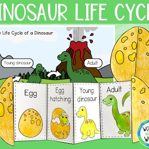 Life Cycle of a Dinosaur Foldable Activity for Kids | Dinosaur ...