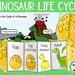 Life Cycle of a Dinosaur Foldable Activity for Kids Dinosaur Printable ...