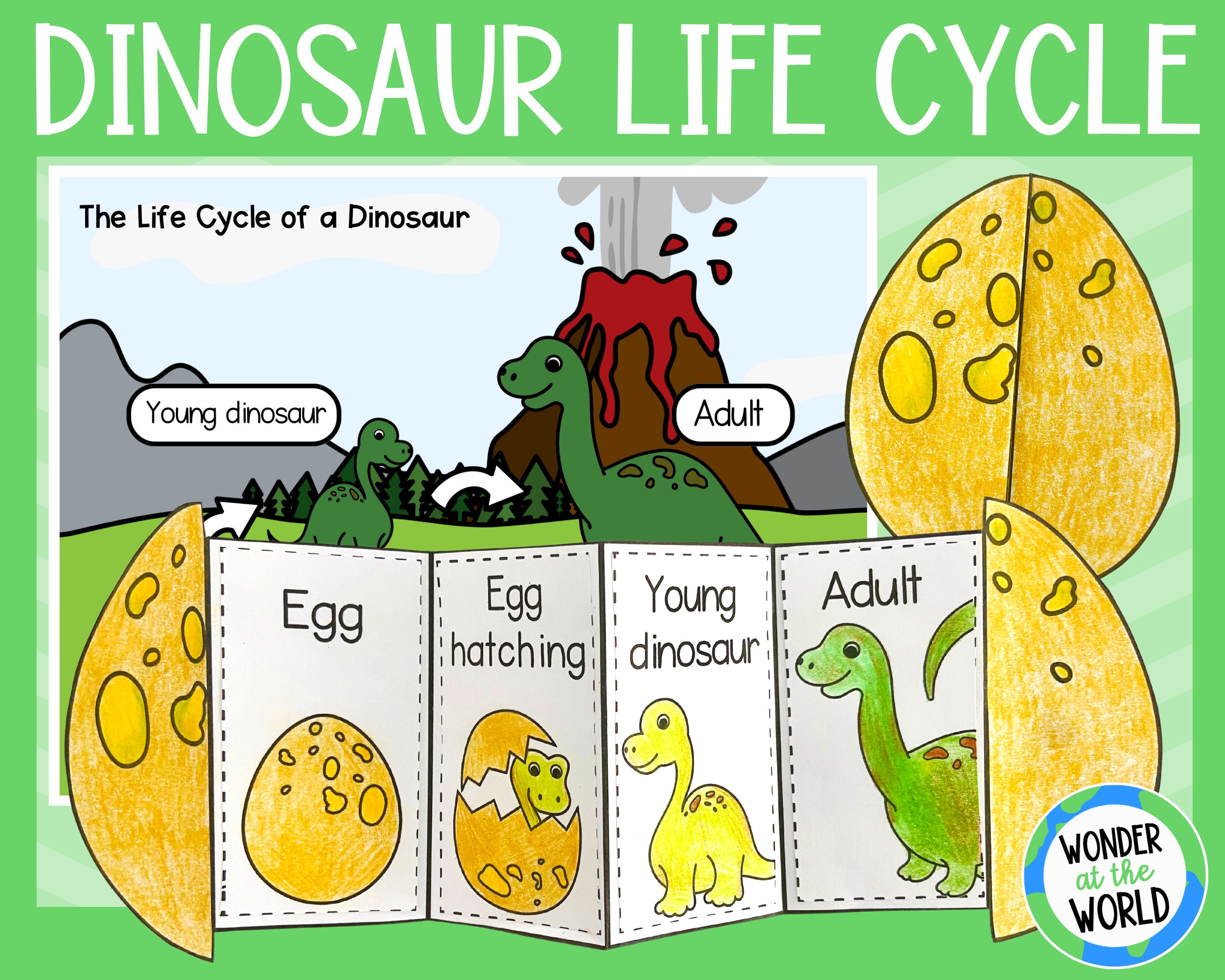 Life Cycle Of A Dinosaur Foldable Activity For Kids Dinosaur Etsy M xico life-cycle-of-a-dinosaur-foldable-activity-for-kids-dinosaur-etsy-m-xico
