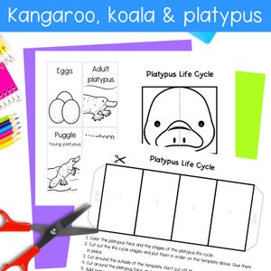 Australian Animals Mammals Life Cycle Foldout Science Learning ...