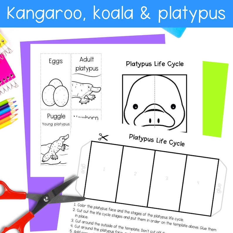 Australian Animals Mammals Life Cycle Foldout Science Learning ...