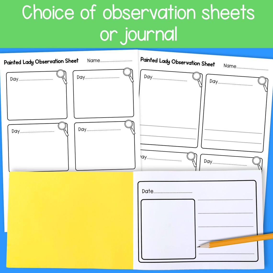 Painted Lady Butterfly & Caterpillar Printables Life Cycle, Observation ...
