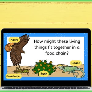 Food Chains in Different Habitats Google Slides Presentation for ...