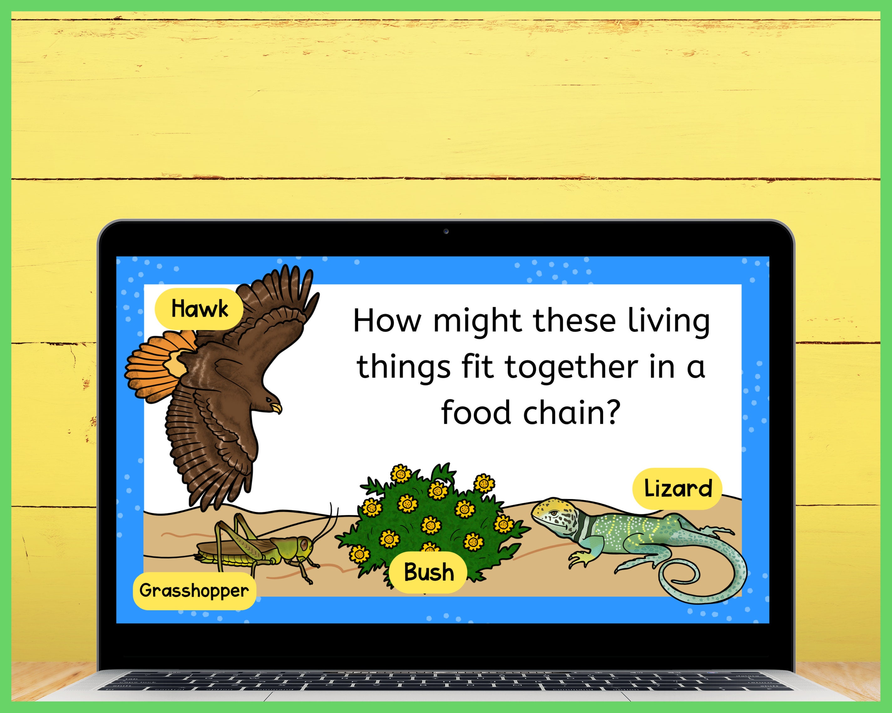 Food Chains Google Slides Presentation for Science Lesson First Grade ...