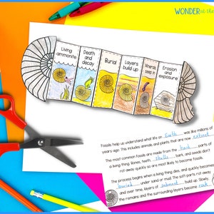 Fossils Lapbook or Interactive Notebook Activity Printable Templates ...
