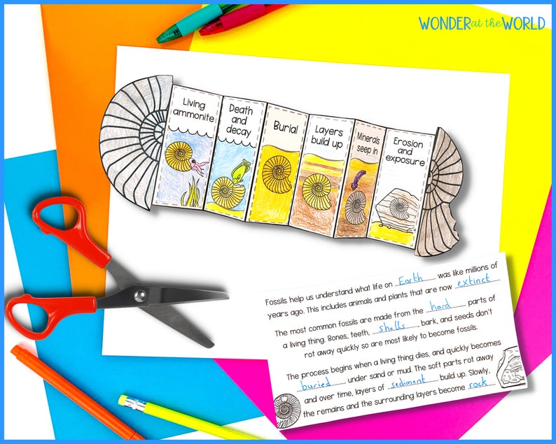 Fossils Lapbook or Interactive Notebook Activity Printable Templates ...