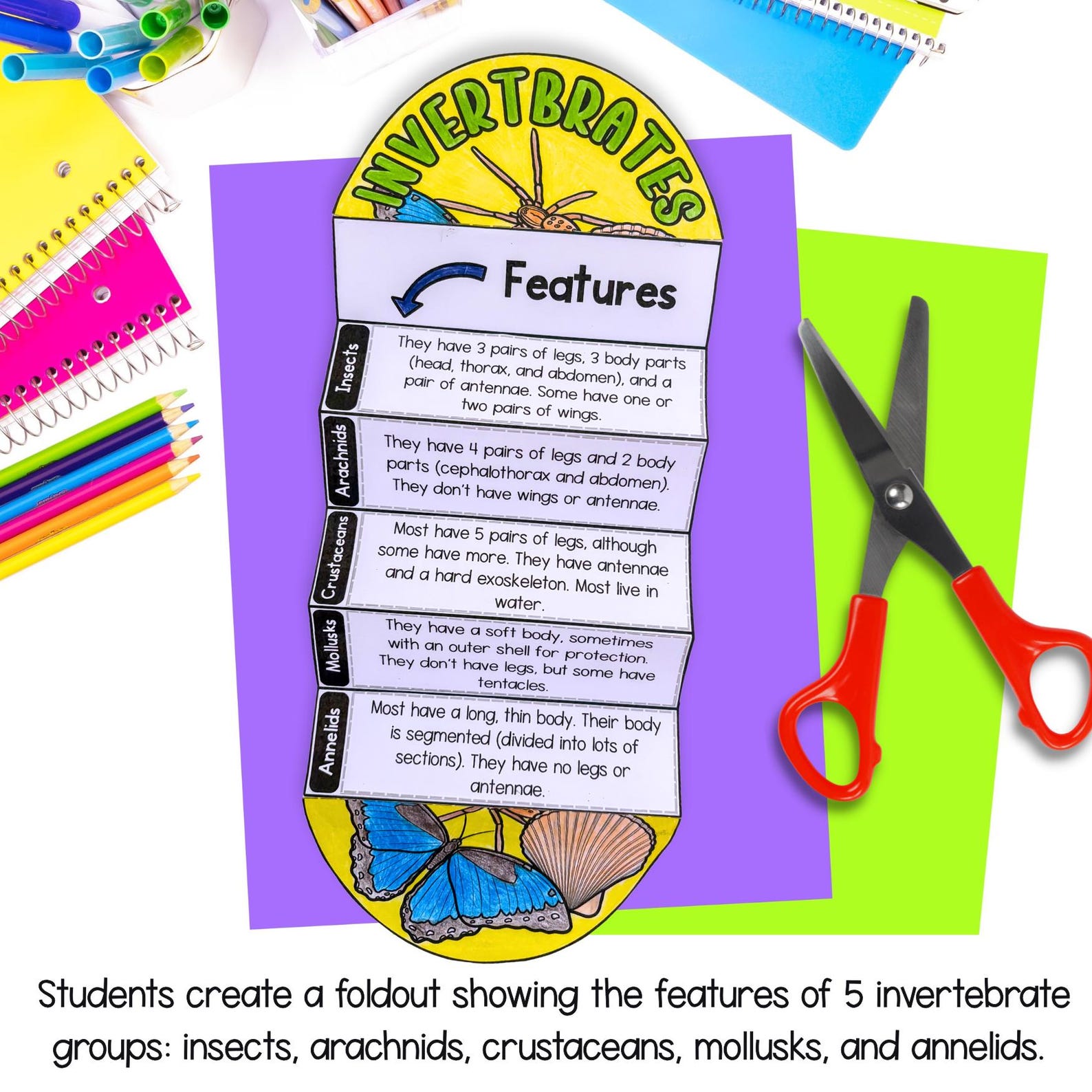 Invertebrates Classification Groups Cut and Paste Activities Match and ...