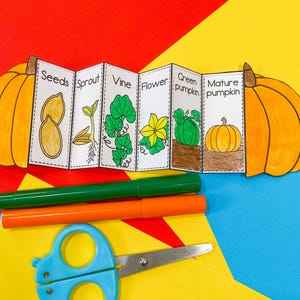Plants Life Cycles Foldable Science Activities | Apple Pumpkin ...