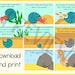 How a Fossil is Formed Printable Sequencing Activity for Kids | A4 and ...