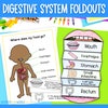 Mitosis Cell Division Foldable Cut and Paste Science Activity and Printable Worksheets Posters ...