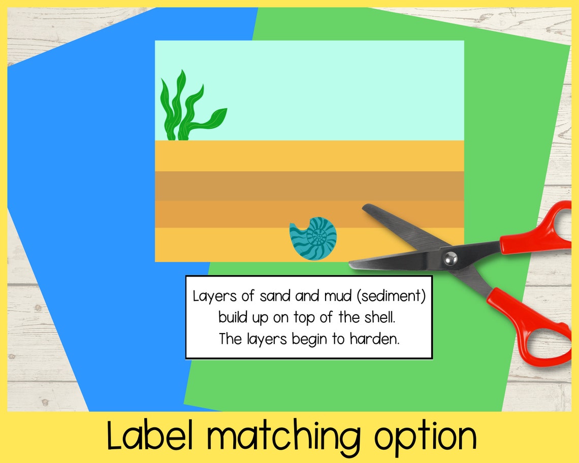 How a Fossil is Formed Printable Craft Activity and Sequencing Cards ...