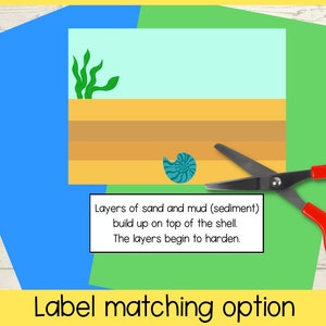 How a Fossil is Formed Printable Craft Activity and Sequencing Cards PDF for Earth Science Third ...