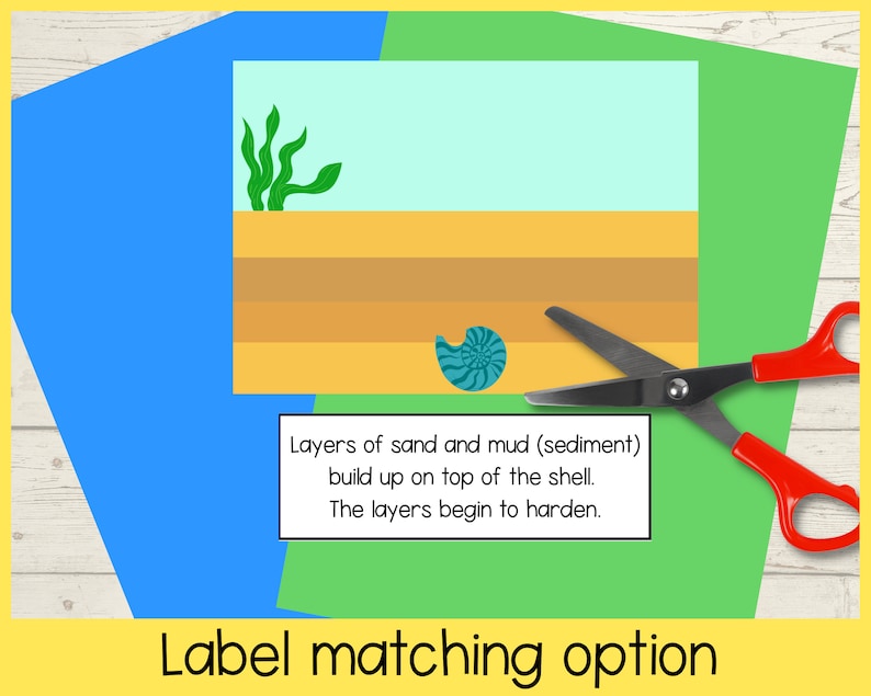 How a Fossil is Formed Printable Craft Activity and Sequencing Cards ...