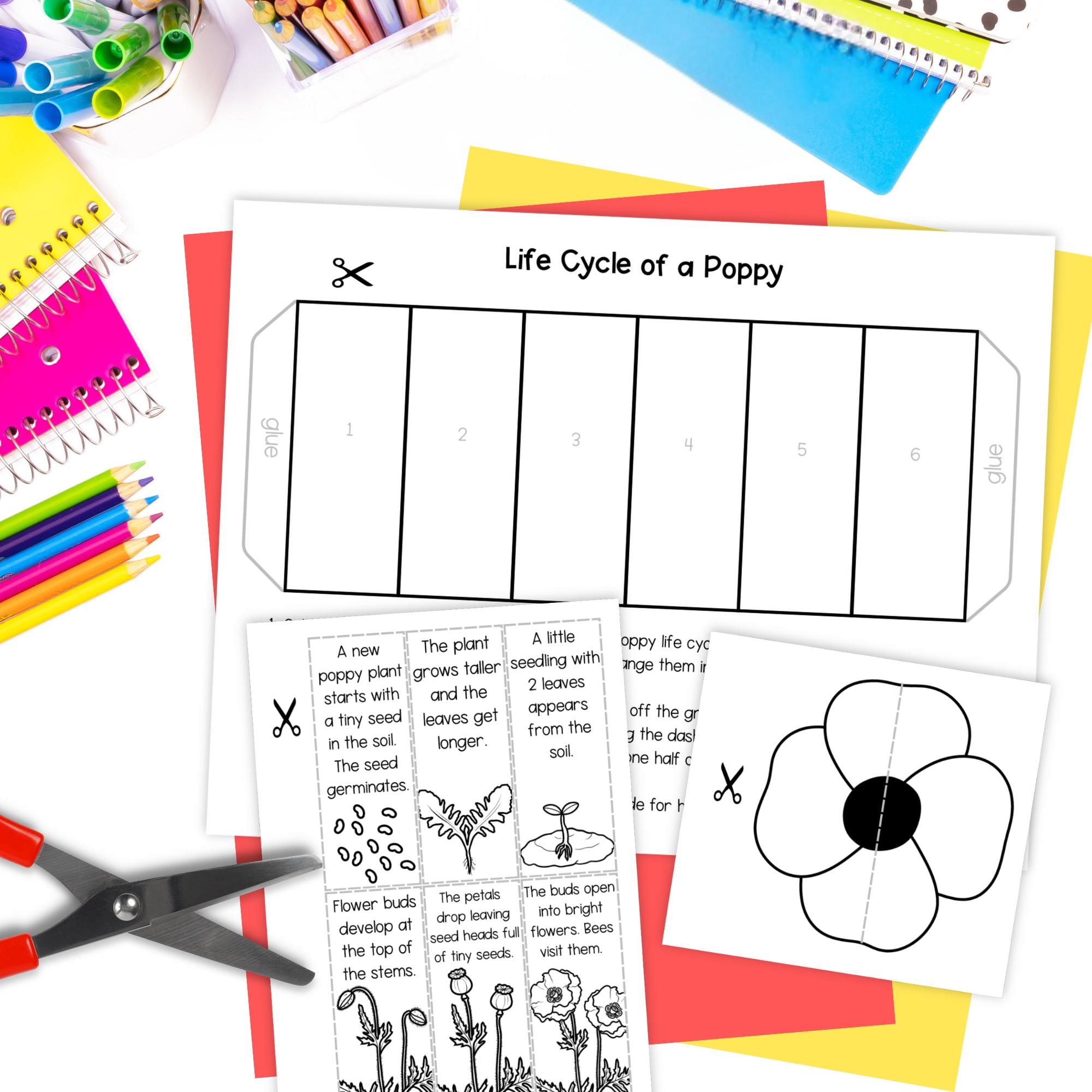 Poppy Life Cycle Foldable Sequencing Activity Cut and Paste Plant ...