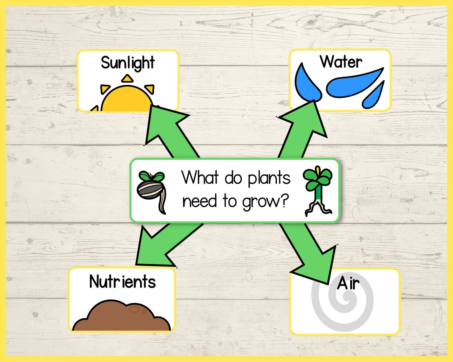 Plants Science Display for Classroom | Bulletin Board Display | Plant ...