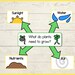 Plants Science Display for Classroom | Bulletin Board Display | Plant ...