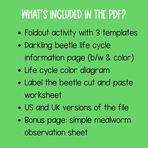 Life Cycle of a Darkling Beetle Mealworm Insect Cut & Paste Sequencing ...