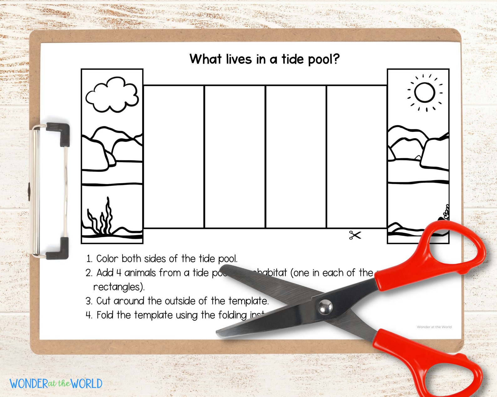 Microhabitats Foldable Kids' Activity A4 and 11x8.5 Inch Digital ...
