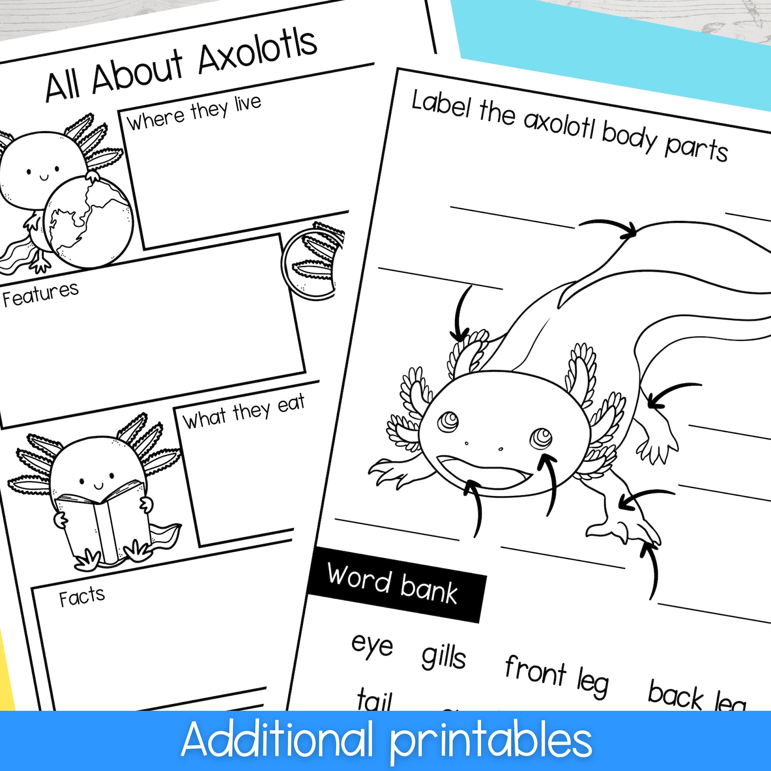 Life Cycle of an Axolotl Cut and Paste Foldout Science Activity and ...