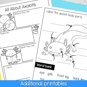 Life Cycle of an Axolotl Cut and Paste Foldout Science Activity and ...