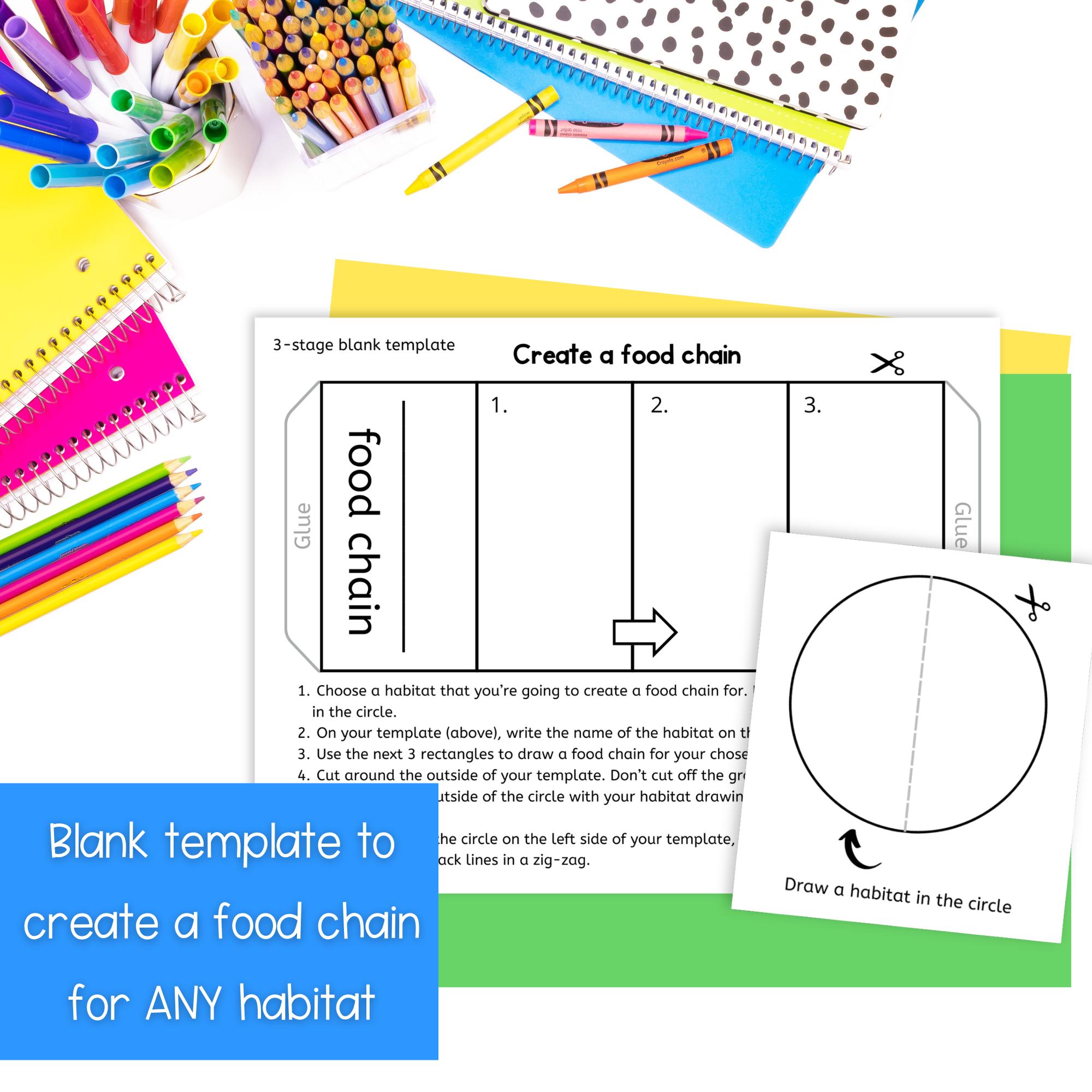 Food Chains Foldable Activity for Kids | A4 and 11x8.5 Inch | Digital ...