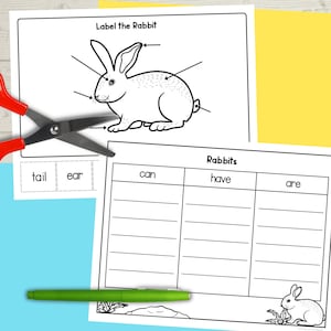 Life Cycle of a Rabbit Foldable Sequencing Activity Cut and Paste ...