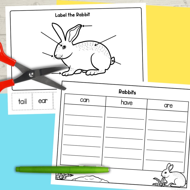 Life Cycle of a Rabbit Foldable Sequencing Activity Cut and Paste ...