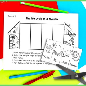 Life Cycle of a Chicken Foldable Kids' Craft Activity A4 and 11x8.5 ...