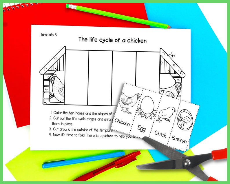 Life Cycle of a Chicken Foldable Kids' Craft A4 and - Etsy