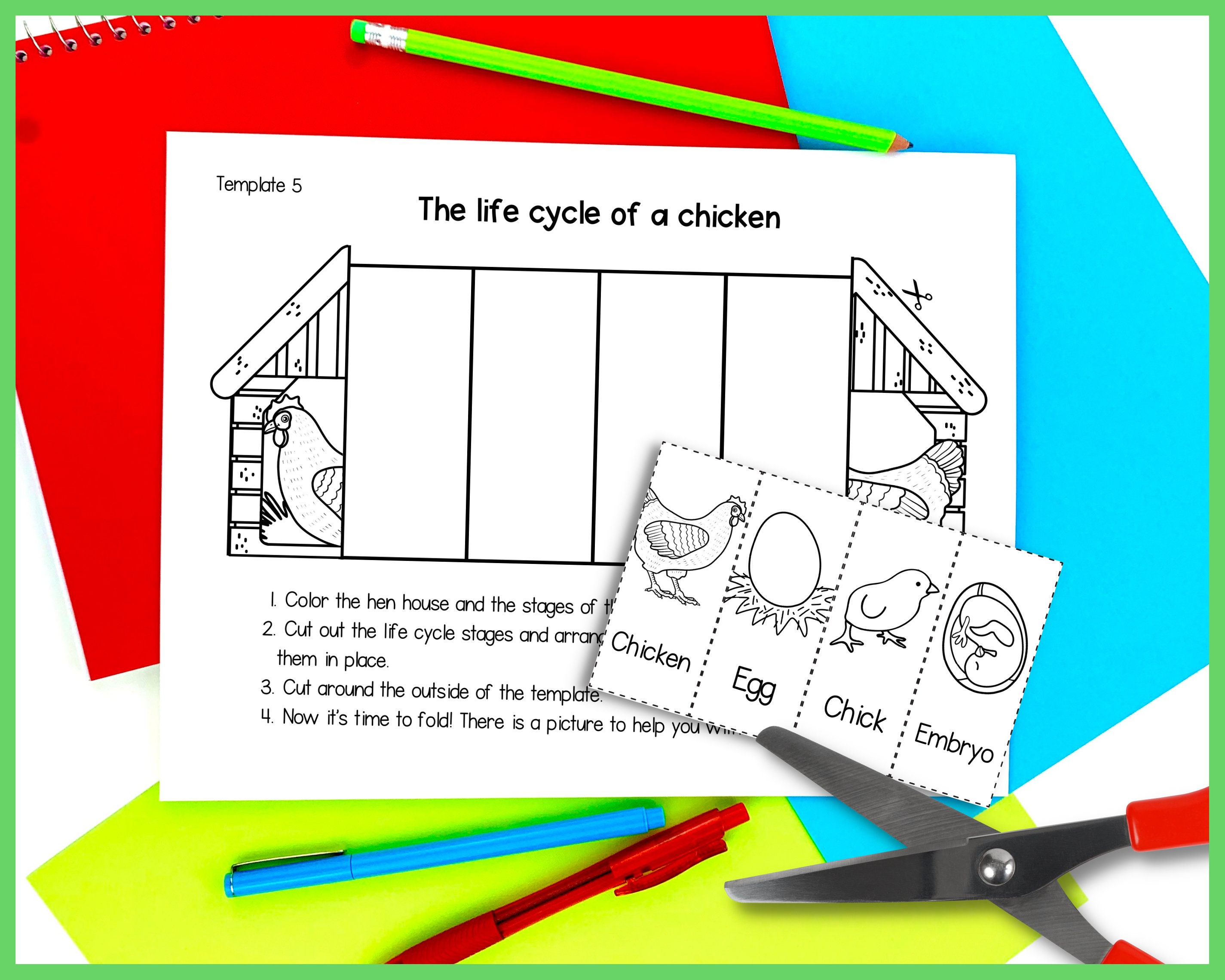 Life Cycle of a Chicken Foldable Kids' Craft A4 and - Etsy UK