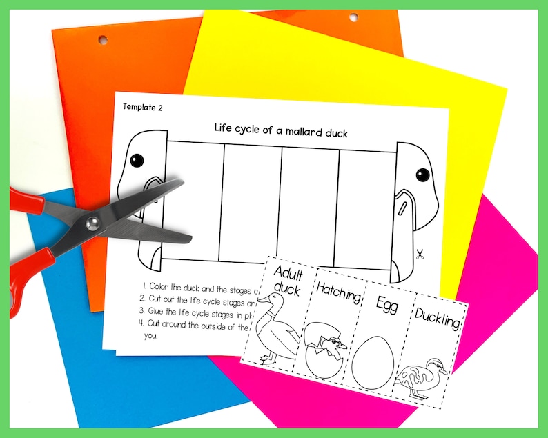 Life Cycle of a Mallard Duck Foldable Sequencing Activity for Kids US ...