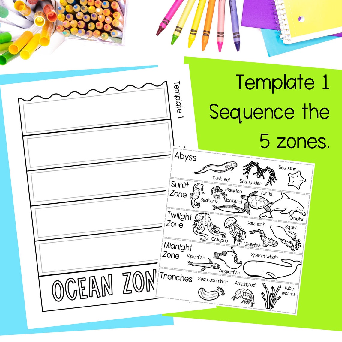 Ocean Zones Lesson With Slideshow Introduction and Foldable Activity ...