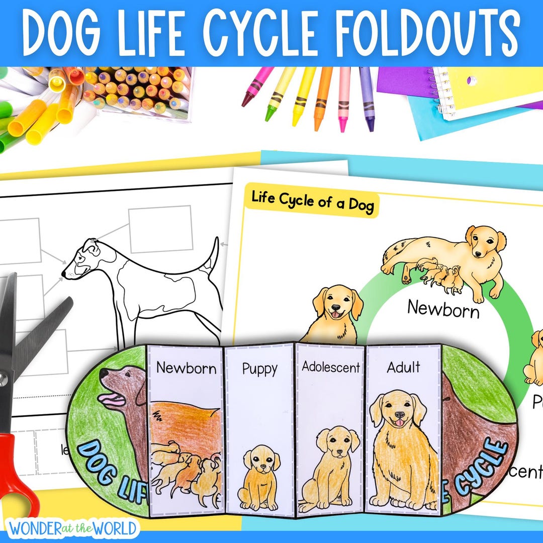 Life Cycle of a Dog Mammal Sequence and Fold Science Craft Activity ...