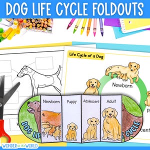 Life Cycle of a Dog Mammal Sequence and Fold Science Craft Activity ...