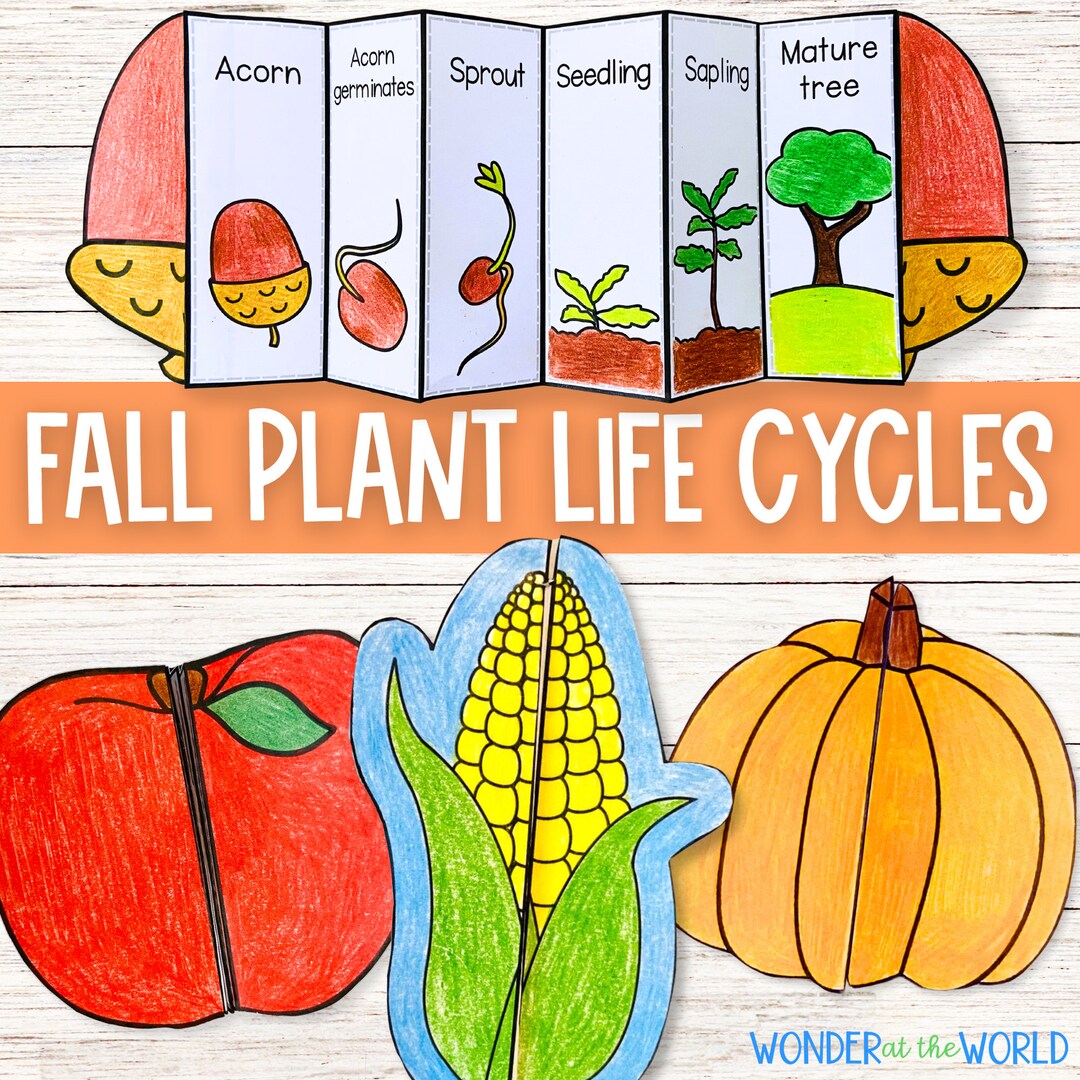 Fall Autumn Plant Life Cycles Foldable Science Activities | Apple ...