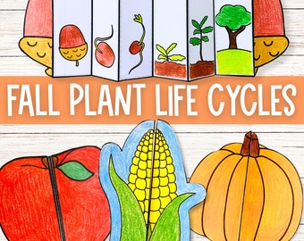 Foldable Pumpkin Life Cycle Learning Activity for Kids Halloween Nature ...