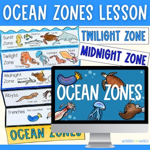 Ocean Zones Lesson With Slideshow Introduction and Foldable Activity ...
