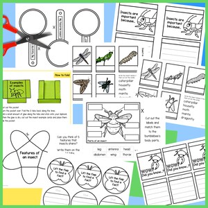 Insect Bugs Foldable Printable Lapbook Templates | Digital Download ...