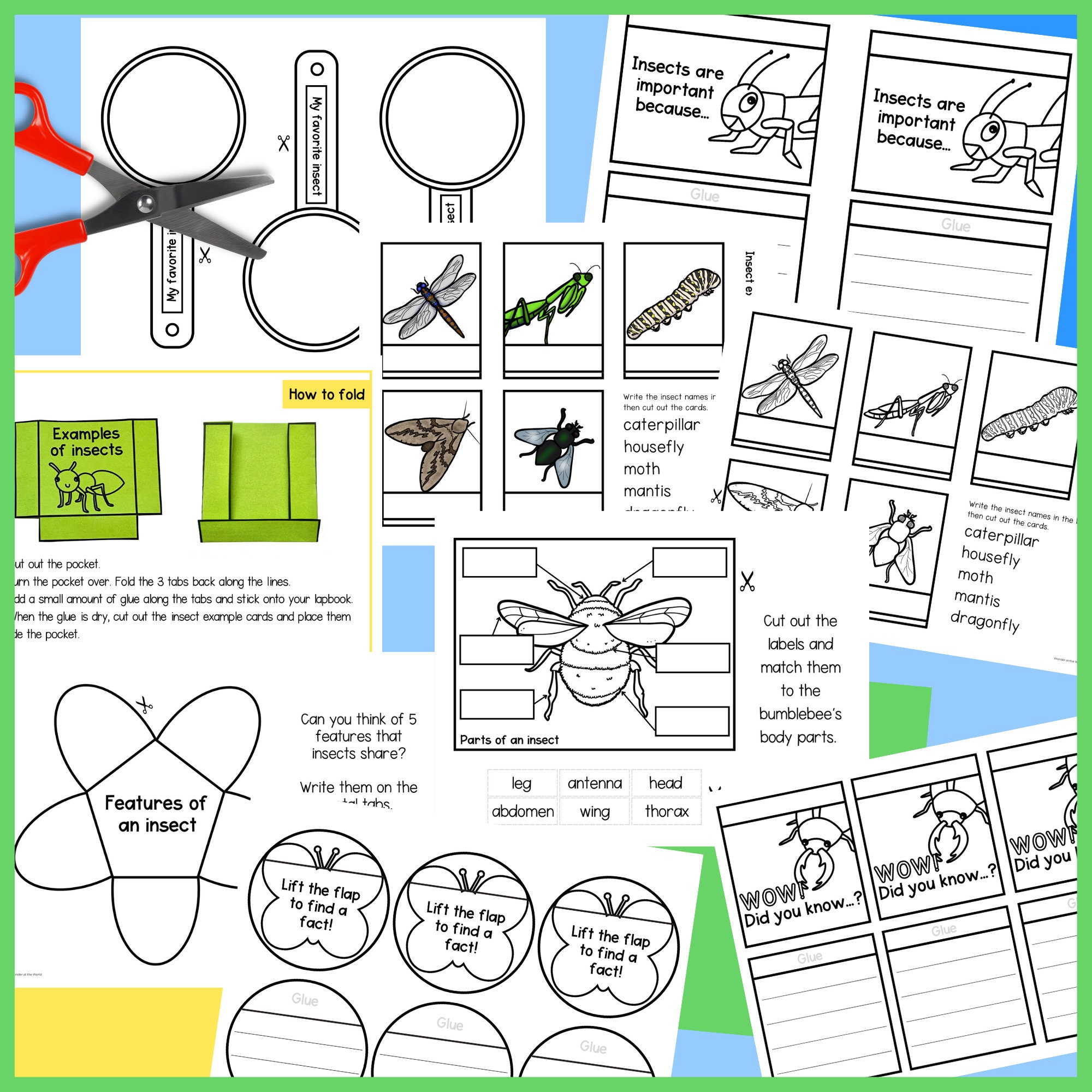 Insect Bugs Foldable Printable Lapbook Templates Digital Download Kids ...