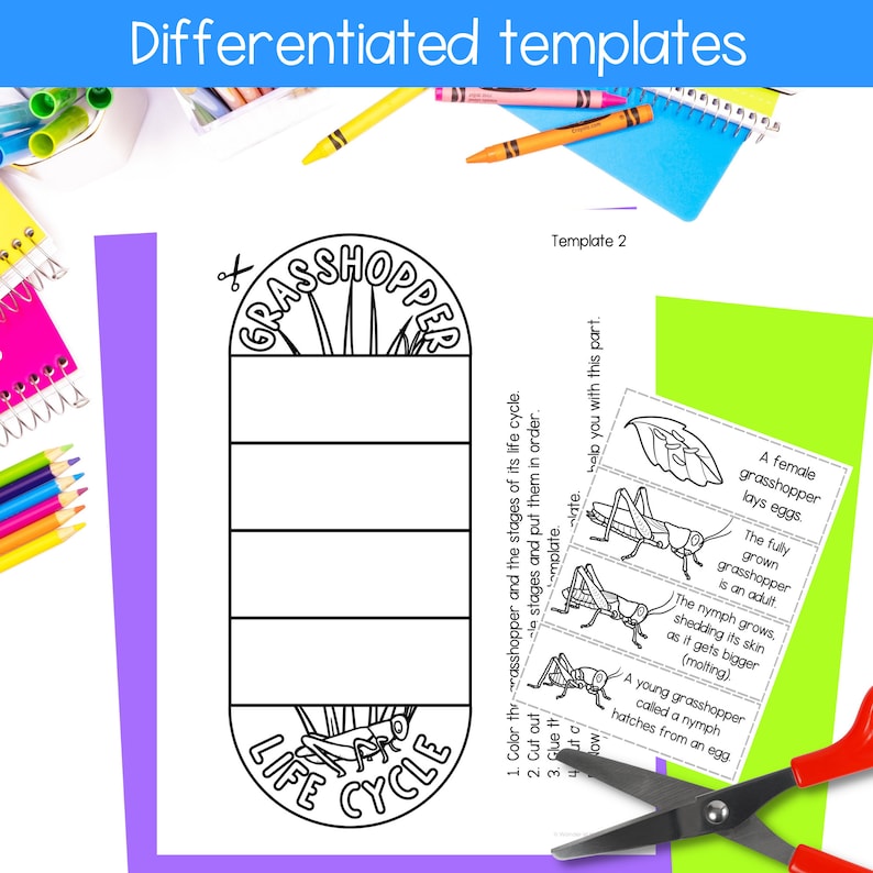 Life Cycle of a Grasshopper Insect Foldable Sequencing Activity Cut and ...
