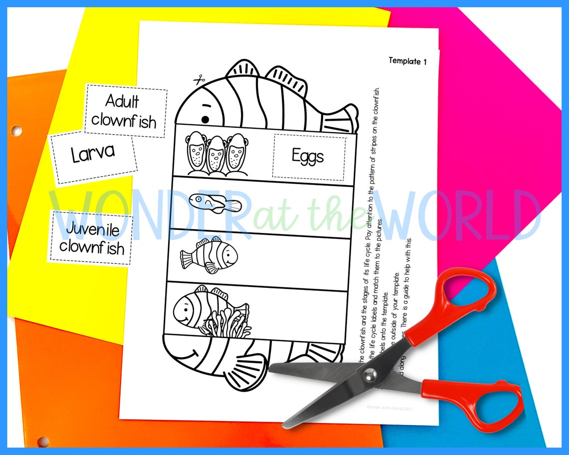 Life Cycle of a Clownfish Foldable Kids' Craft | A4 and 11x8.5 Inch ...