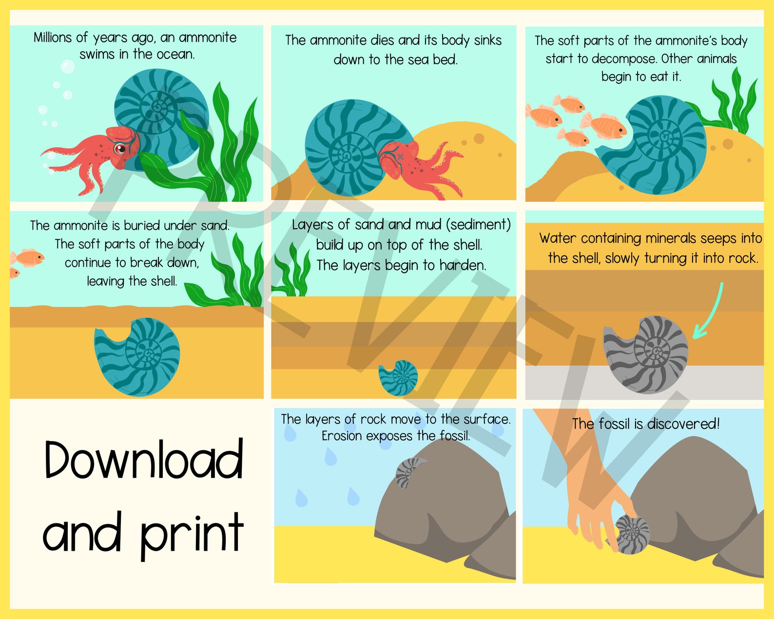 How a Fossil is Formed Printable Craft Activity and Sequencing Cards ...