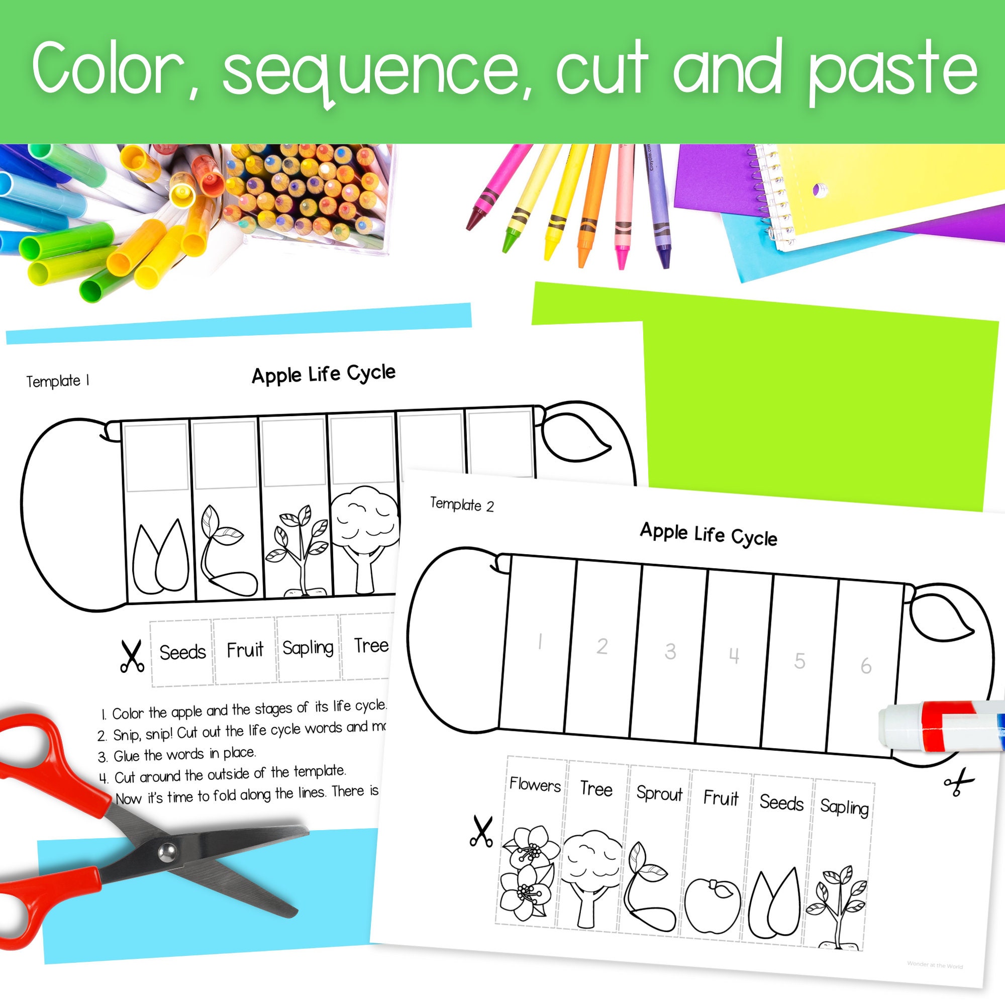 Life Cycle of an Apple Tree Foldable Activity for Kids Printable | A4 ...