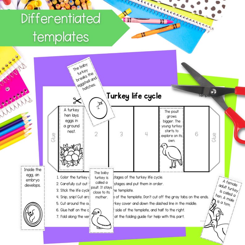 Life Cycle of a Turkey Sequence and Fold Kids' Craft Activity | 11x8.5 ...