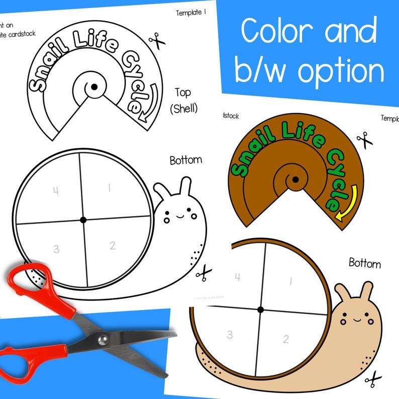 The Life Cycle of a Snail Spinner Wheel Science Sequencing Craft Cut ...